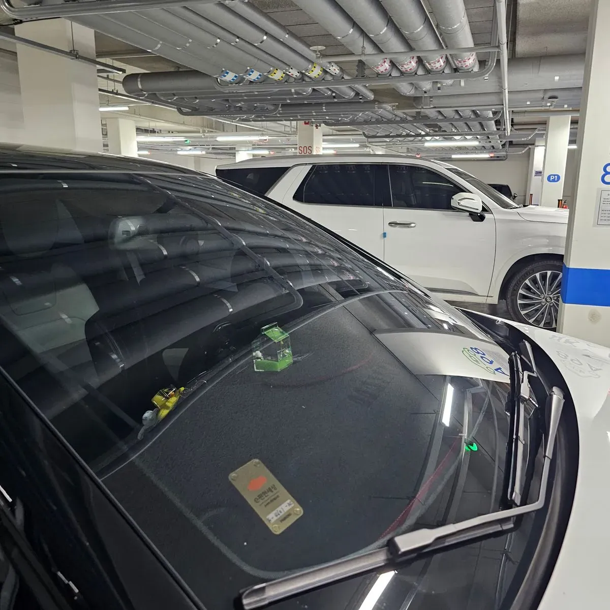 QM3 화이트 출장 내외부세차 / 세차해yo - 숨고, 숨은고수