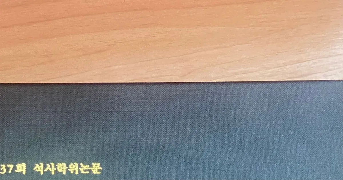 최근 논문 작성 및 졸업 김병기 숨고 숨은고수