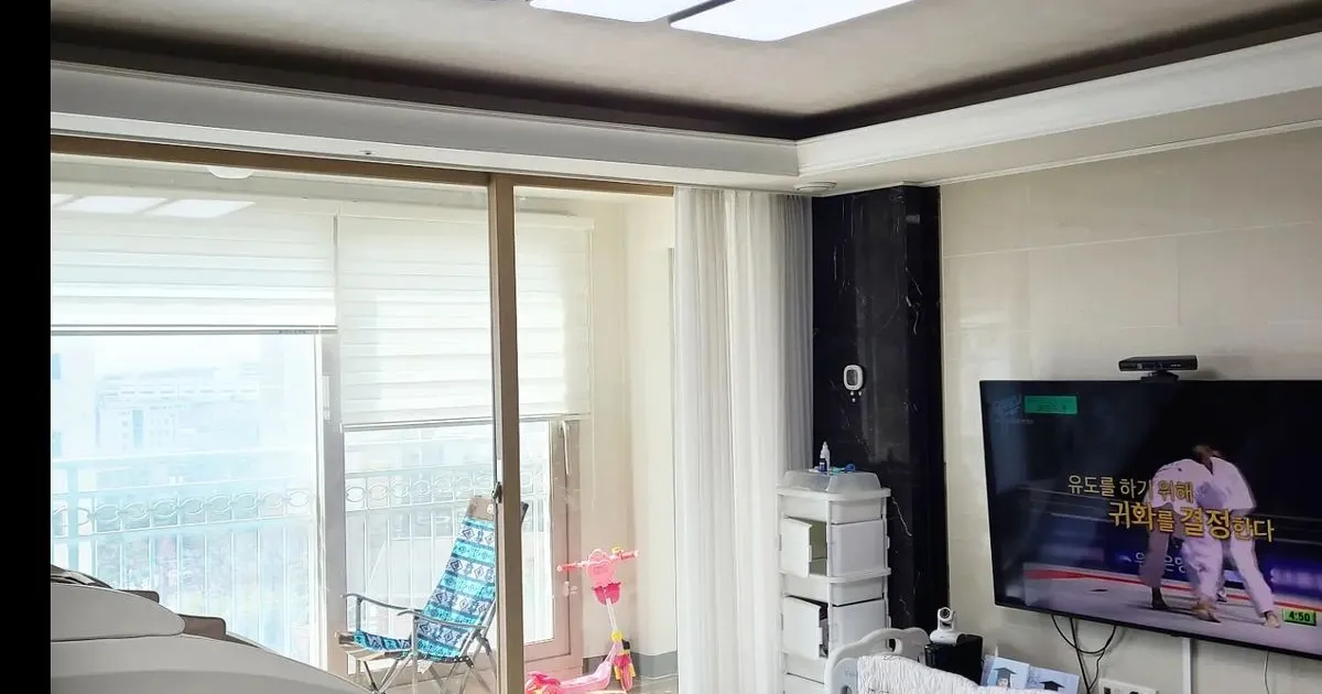 오산 청호엘리시아 세대등 교제 세교전기 숨고 숨은고수