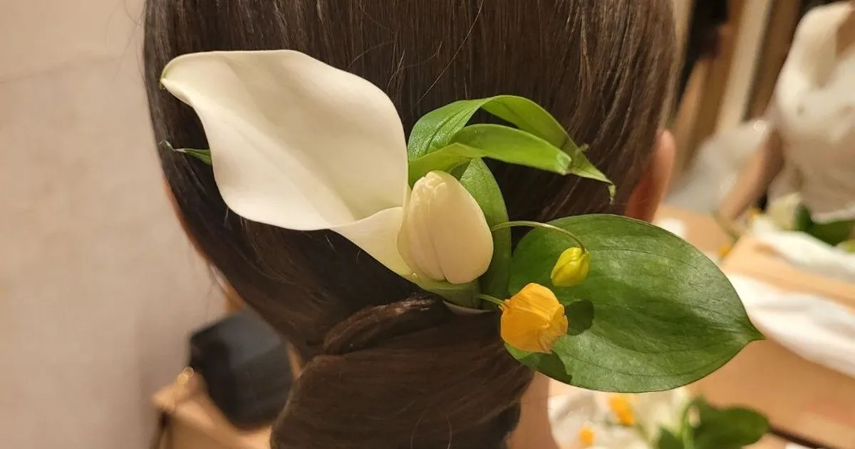 하우스 웨딩 별하 그리다 숨고 숨은고수