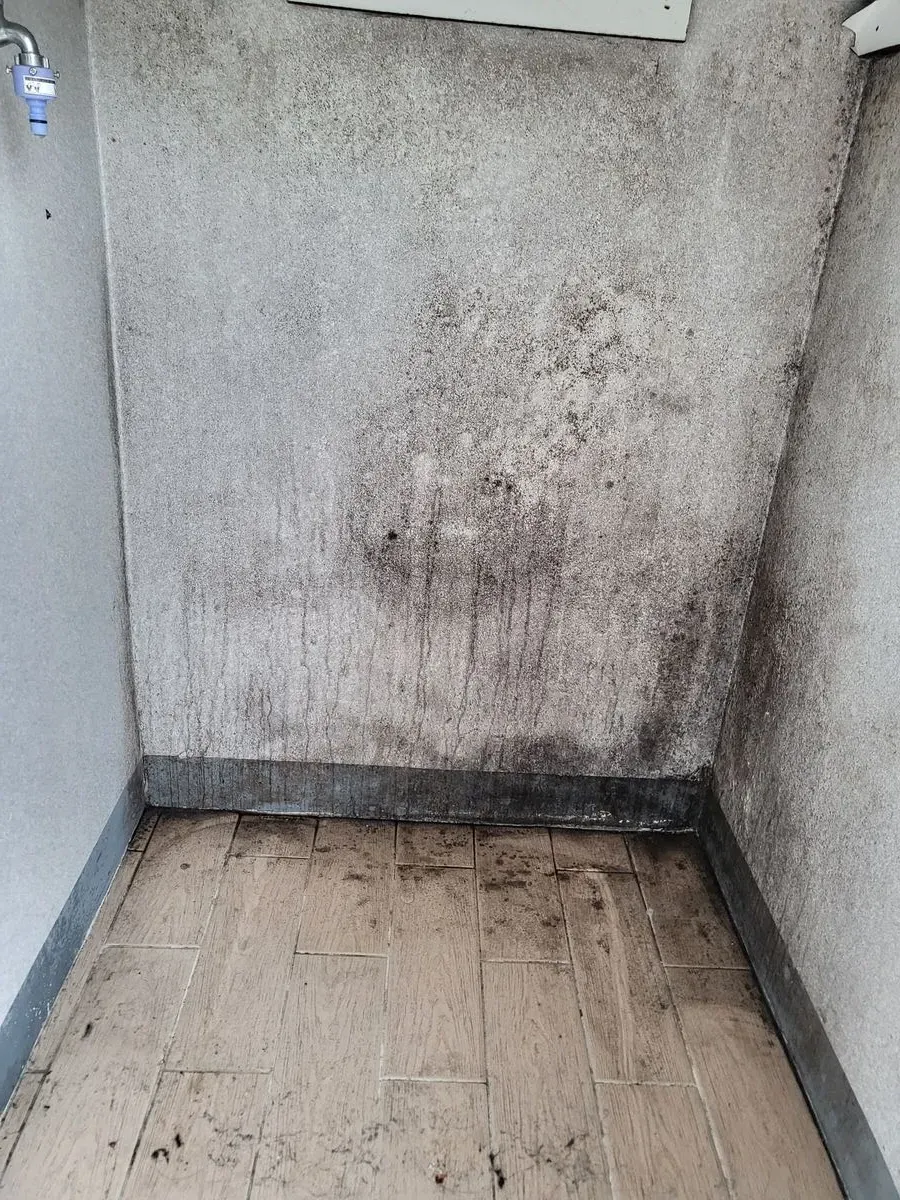 청소과정촬영분입니다 백창기 숨고 숨은고수