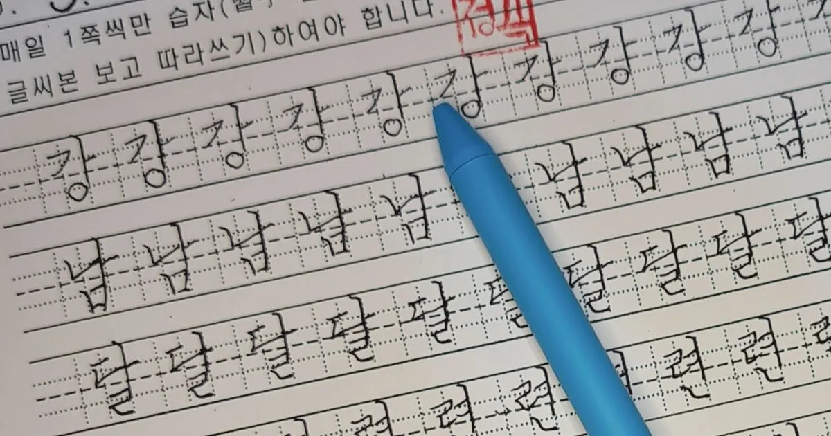 글씨교정 강기선 숨고 숨은고수