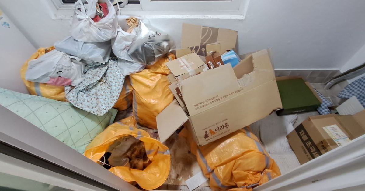 쓰레기집 청소 가전가구 폐기물처리 백찬현 숨고 숨은고수