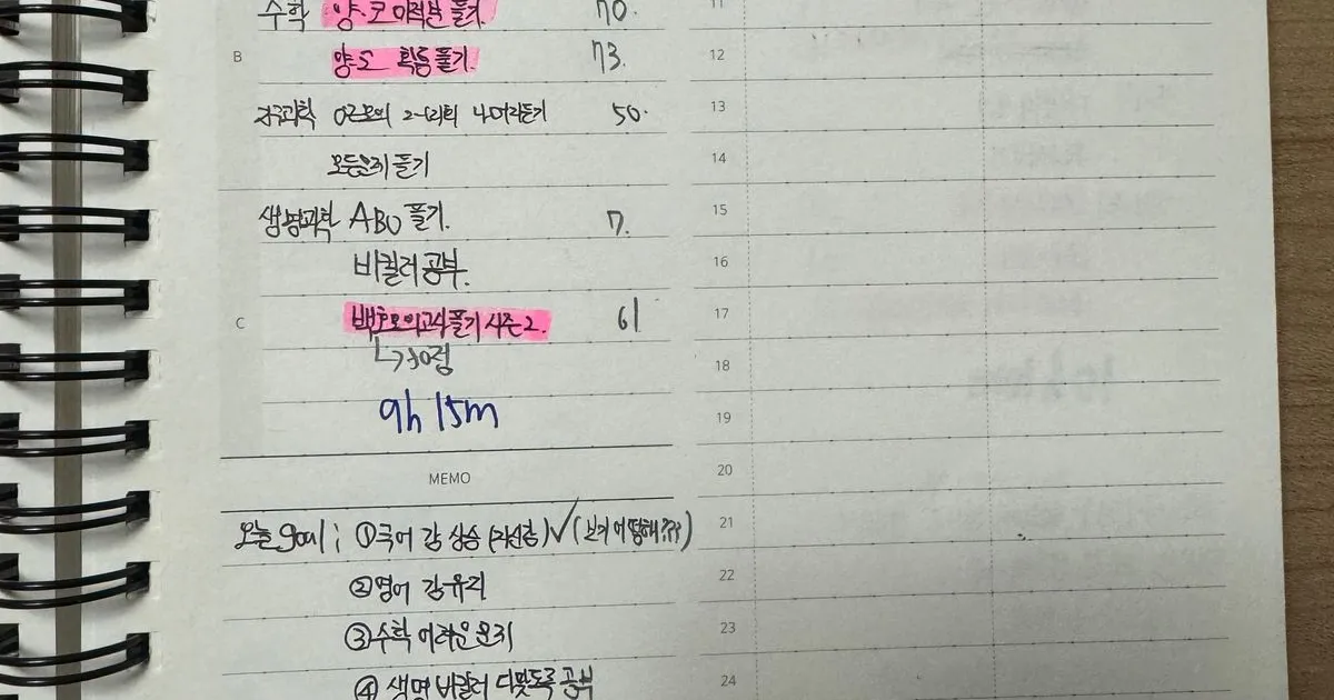 재수기간 플래너 Navigater 자기주도 학습 코치 숨고 숨은고수