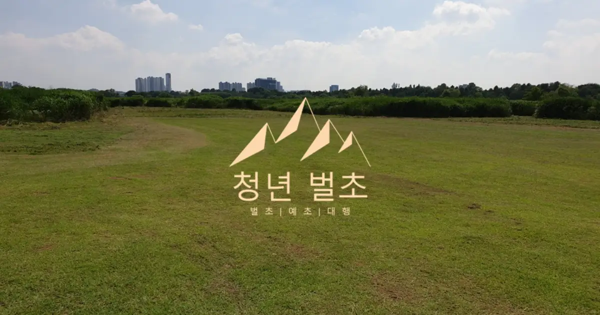 벌초예초 청년벌초 숨고 숨은고수