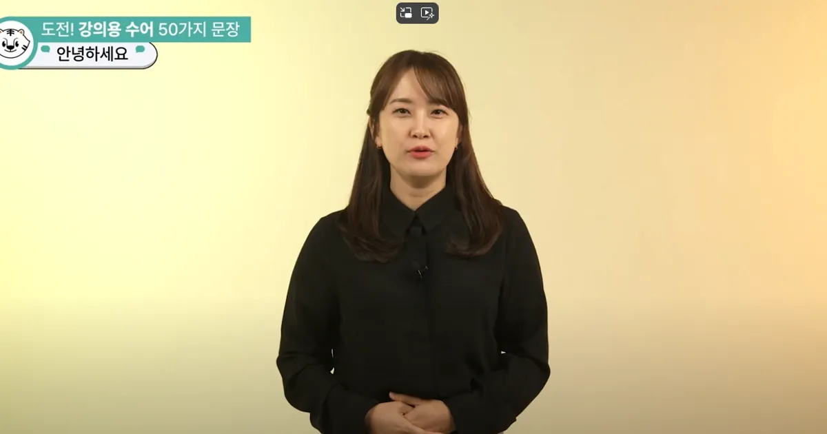행사공연교육 수어통역 수어통역사 숨고 숨은고수