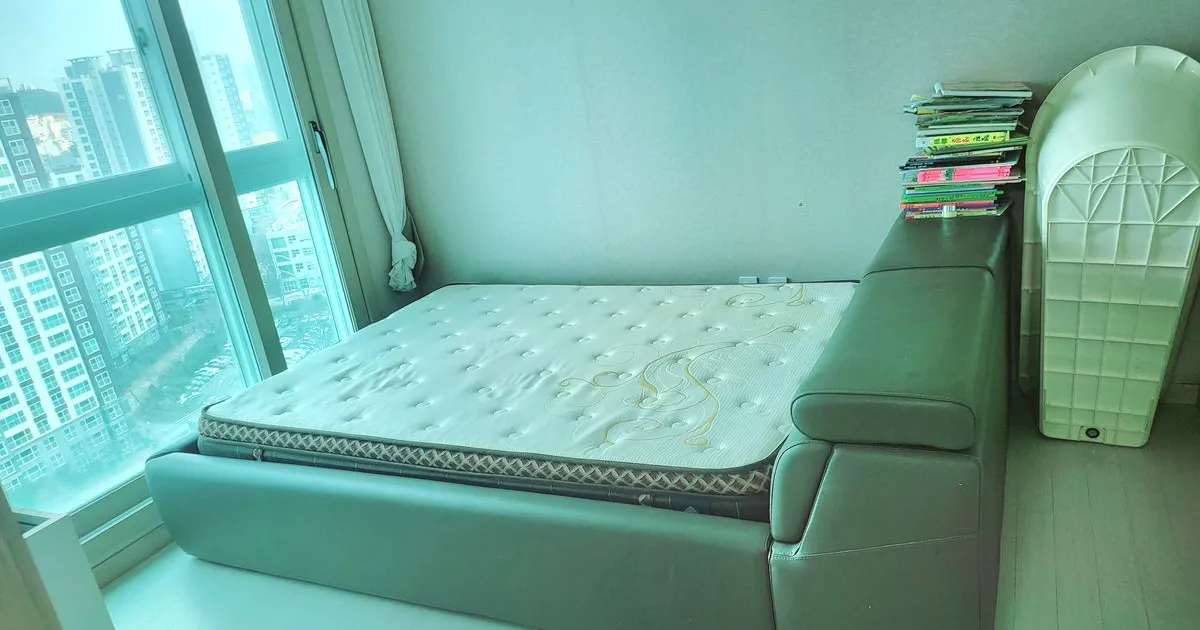 오래된 소변 얼룩 퀸매트리스 케어 비치움 새것처럼 홈케어 숨고 숨은고수