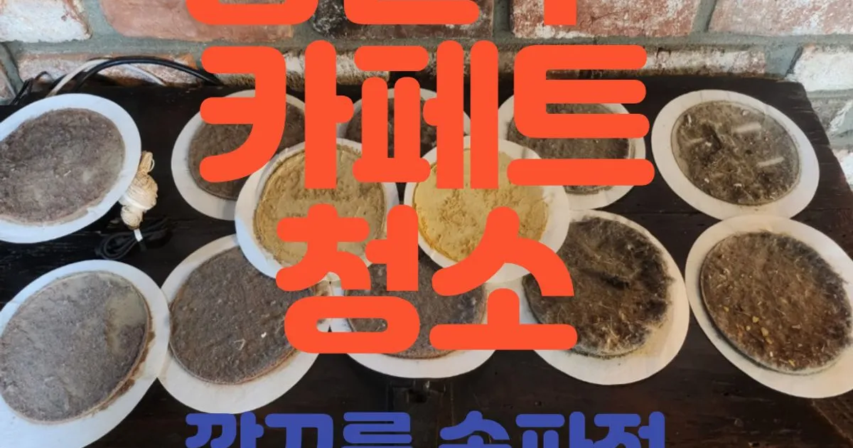 광진구 카페트 패브릭 소파 청소 깔끄룸 송파점 숨고 숨은고수