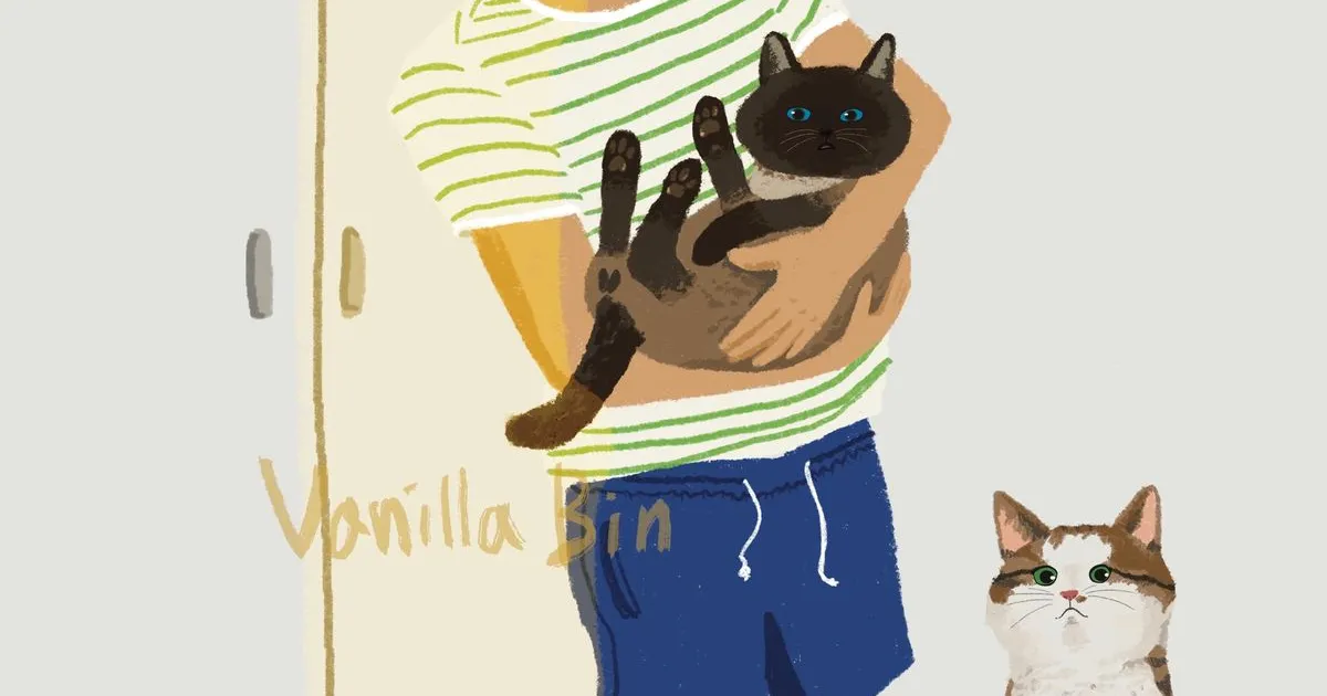 2d 일러스트레이션 지수 숨고 숨은고수