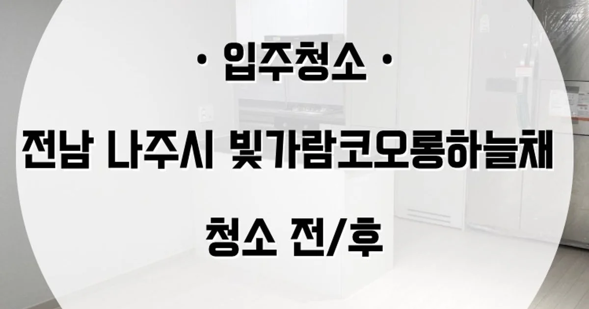 전남 나주시 빛가람코오롱하늘채 브이홈클린 숨고 숨은고수