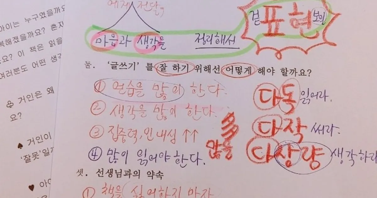 국어•독서•논술•글쓰기•그림책큐레이션 정하늬 숨고 숨은고수