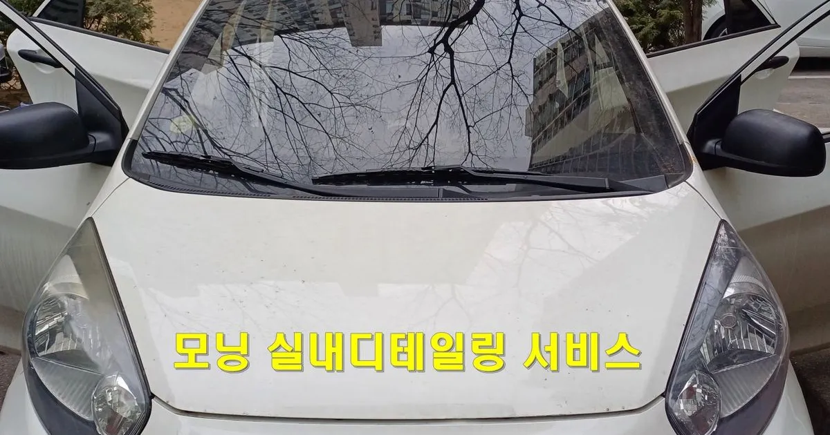 모닝 실내디테일링 서비스 디테일링 김선생 숨고 숨은고수
