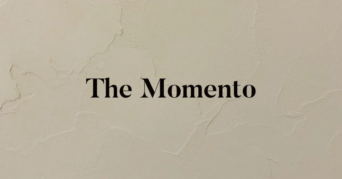 The Momento Vint wall texture / 더 모멘토 스튜디오 - 숨고, 숨은고수