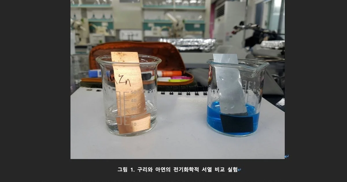 과학 보고서화학생명 박선우 숨고 숨은고수