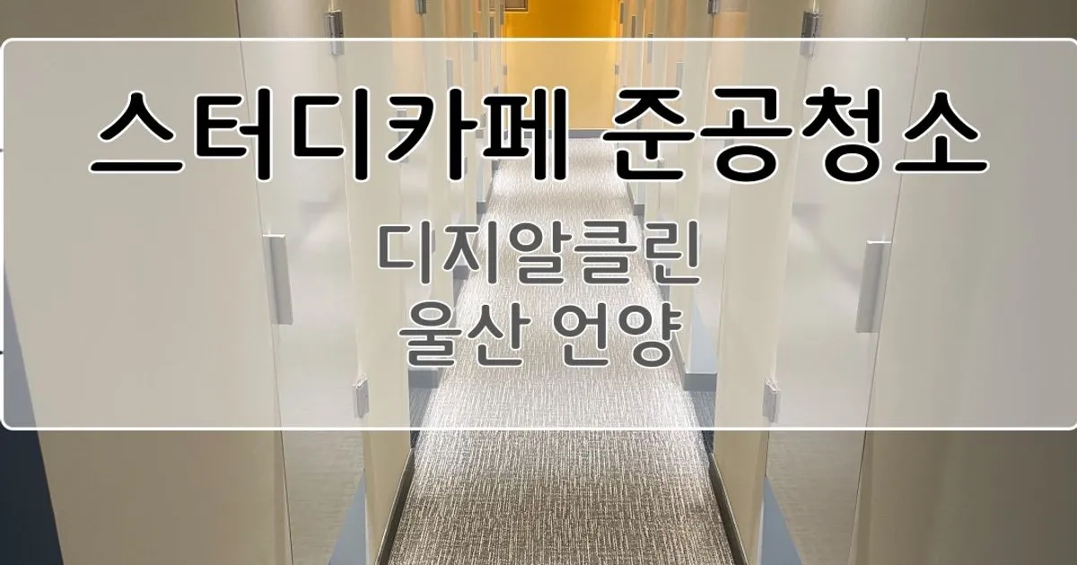 울산 언양 스터디 카페 준공 청소 부산경남 찐” 종합청소 디지알클린 숨고 숨은고수