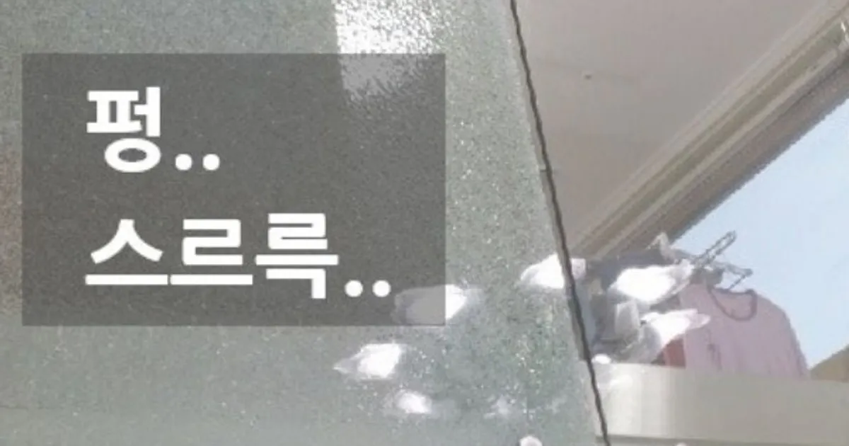 비산방지 시공 프람티드랩 단열필름 숨고 숨은고수