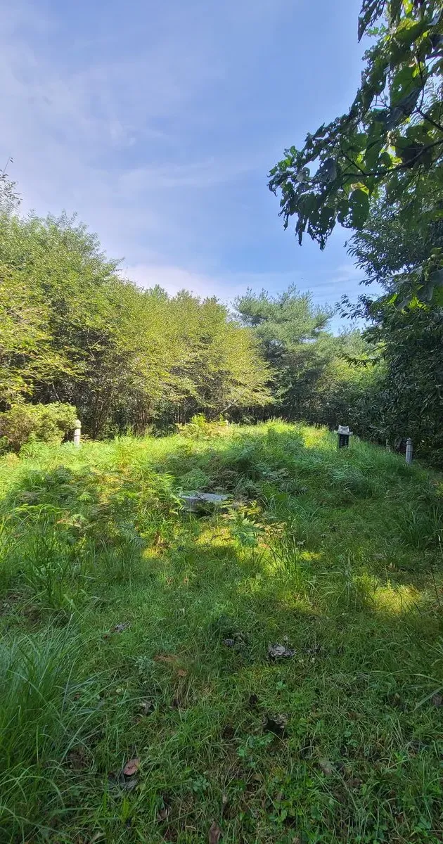 충남 서산 명화조경인천안성구리 사무소 숨고 숨은고수