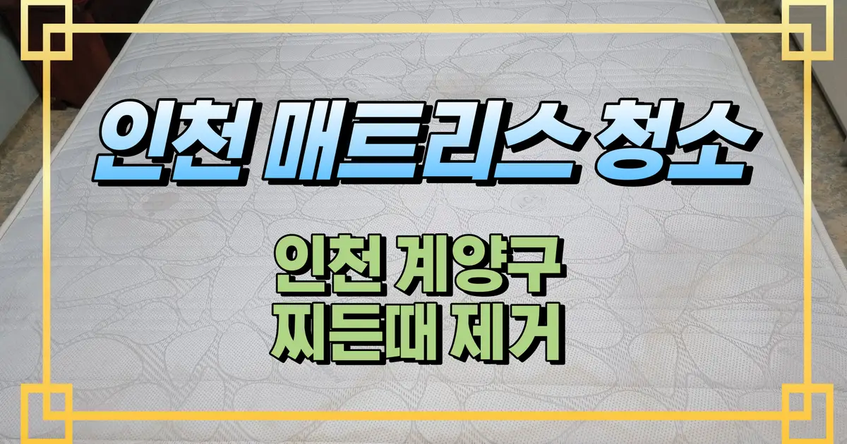 인천 작전동 킹사이즈 매트리스 습식케어 다온토탈클린 숨고 숨은고수