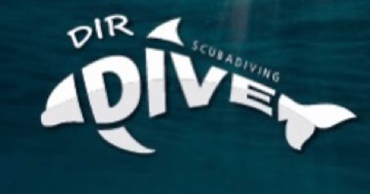 Dir dive 고수의 스쿠버다이빙 강습 서비스, 대구광역시 달서구 - 숨고, 숨은고수