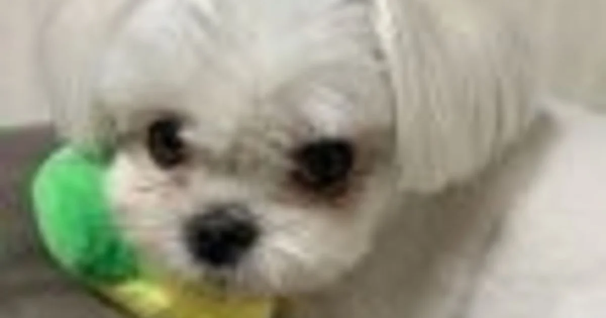 한기명 고수의 에어컨 설치 및 수리 서비스 경기 파주시 숨고 숨은고수