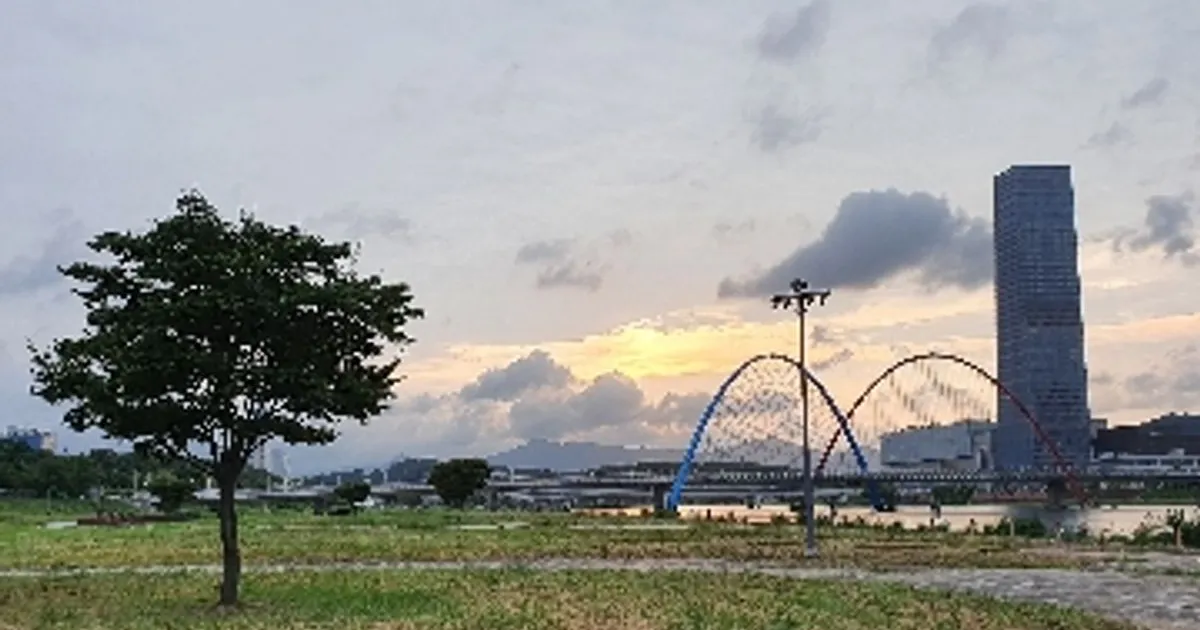 원정 고수의 중국어 통역 서비스 대전 서구 숨고 숨은고수