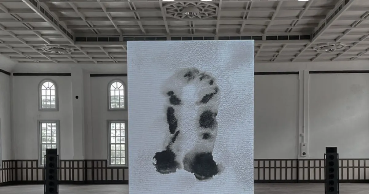 (주) 펠소닉_PELSONIC 고수의 음향/영상기기 설치 서비스, 인천 서구 - 숨고, 숨은고수