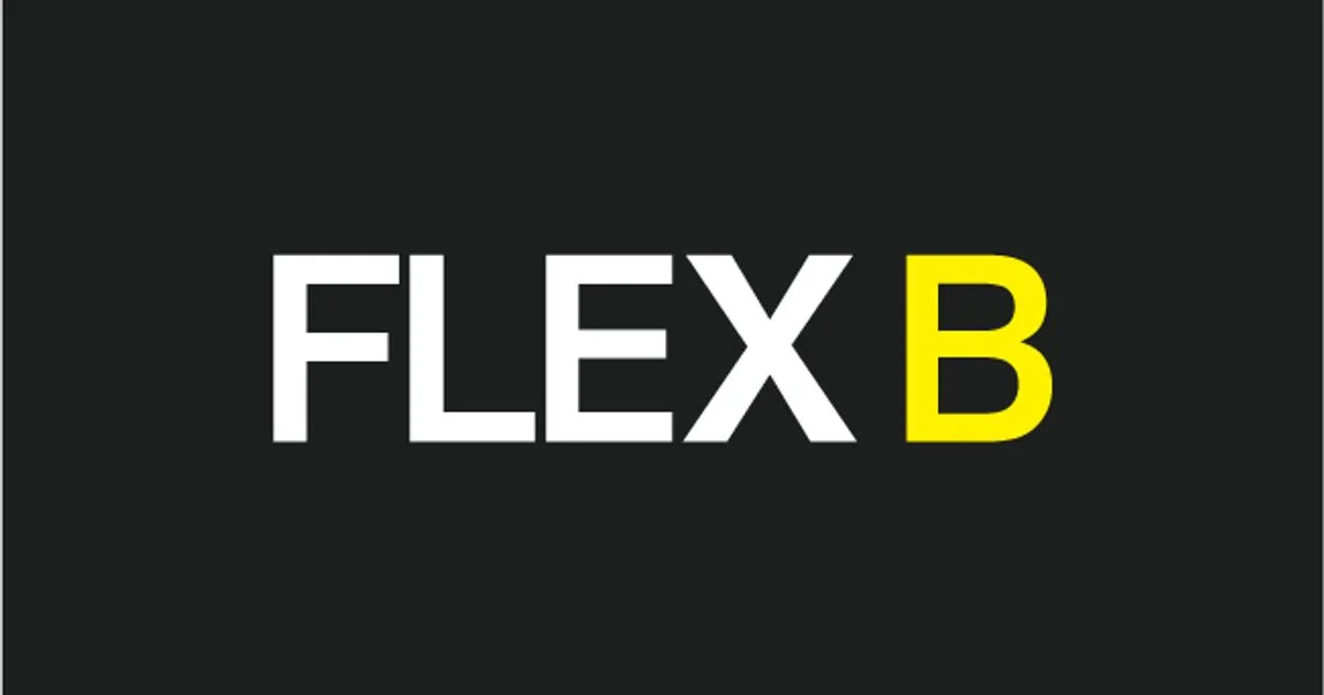 플렉스비(FLEX B) 고수의 로고 디자인 서비스, 서울 도봉구 - 숨고, 숨은고수