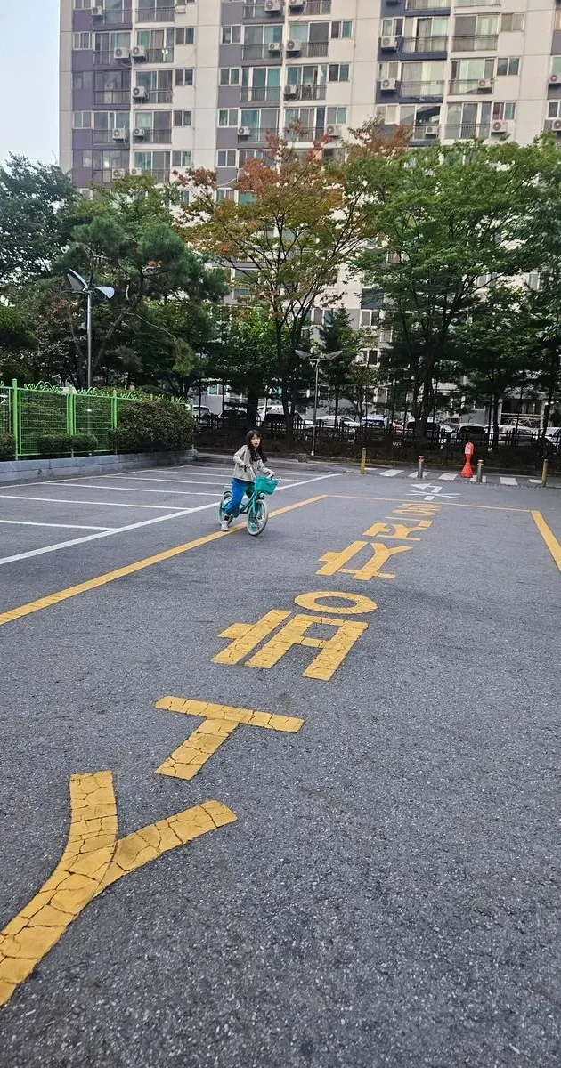 아이 첫 자전거를 안전하고 편안한 분위기에서 할수 있어 좋았습니다 뿌듯한 시간이었습니다감사합니다 숨고 숨은고수