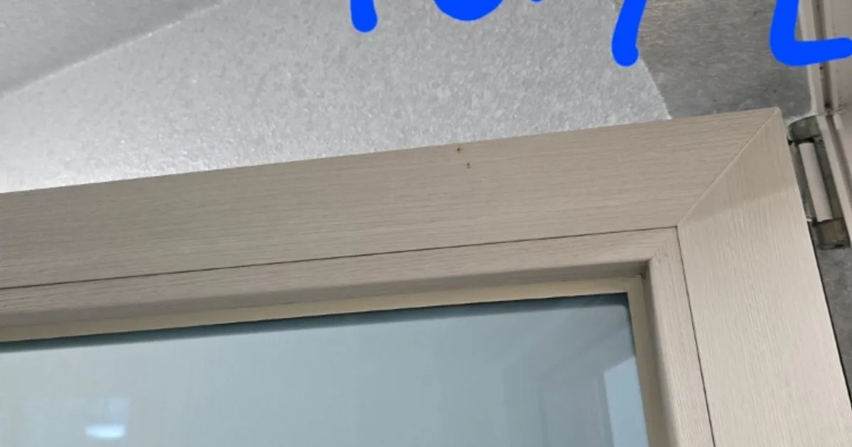 네 친절하게 상담해주셧고 하자있는것도 세세하게 잘잡아주셨어요 전화로 이것저것 물어봐도 친절하게 자세히 알려주셧어요 다음에도 또이용할게요~ 숨고 숨은고수