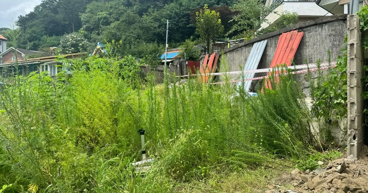 당일로 급하게 잡은 작업이었는데 빠른 일처리 해주셨습니다 숨고 숨은고수