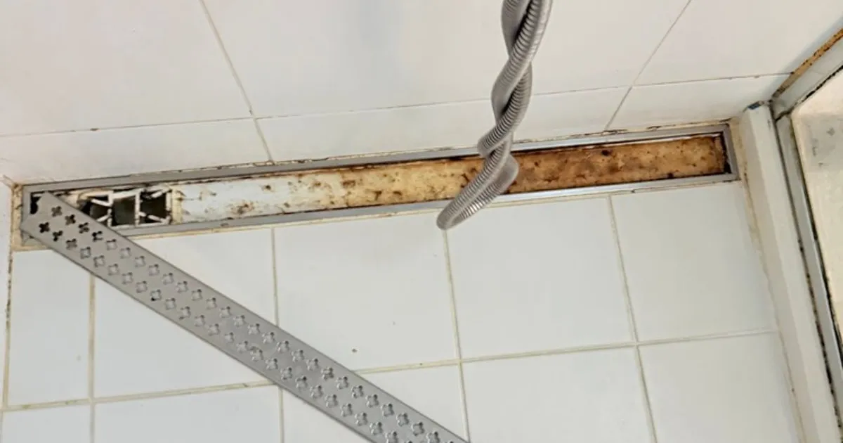약속 잡기도 편하고 궁금한거 있음 잘 답변해주세요 청소해주신 팀장님도 친절하셨고 수고많으셨어요 전후로 사진도 잘 찍어주시고
