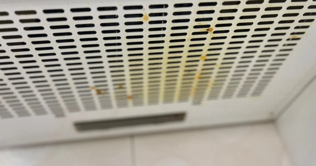 여러가지로 친절하시고 꼼꼼하게 해주셔서 좋았습니다 앞으로 지인들에게 추천 많이할게요 숨고 숨은고수