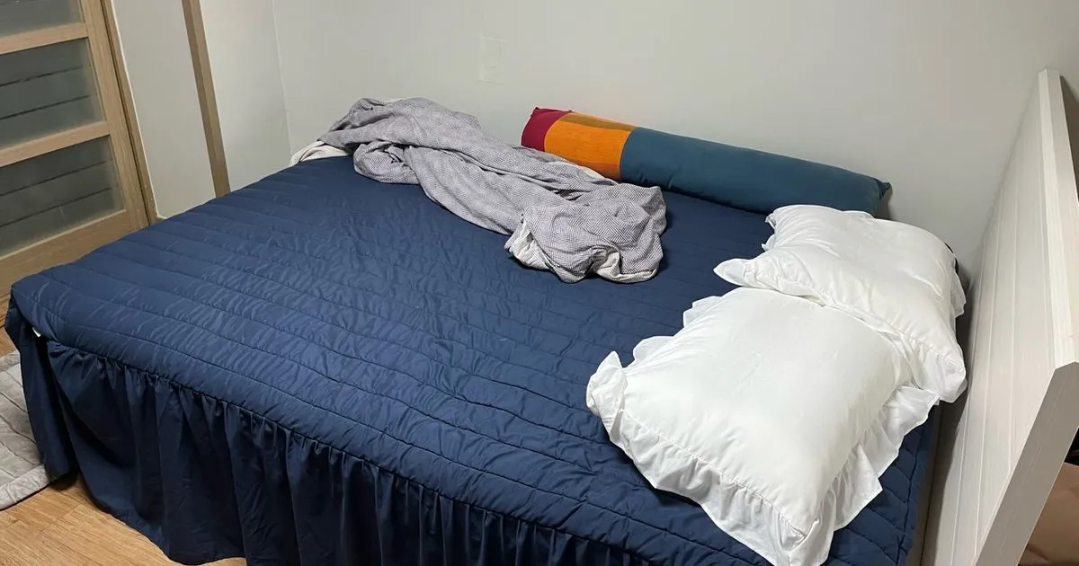 일정은 최대한 맞춰주셨고 침대포장부터 이동까지 전문적으로 해주셨어요 일처리가 엄청 빠르시고 친절하세요 숨고 숨은고수