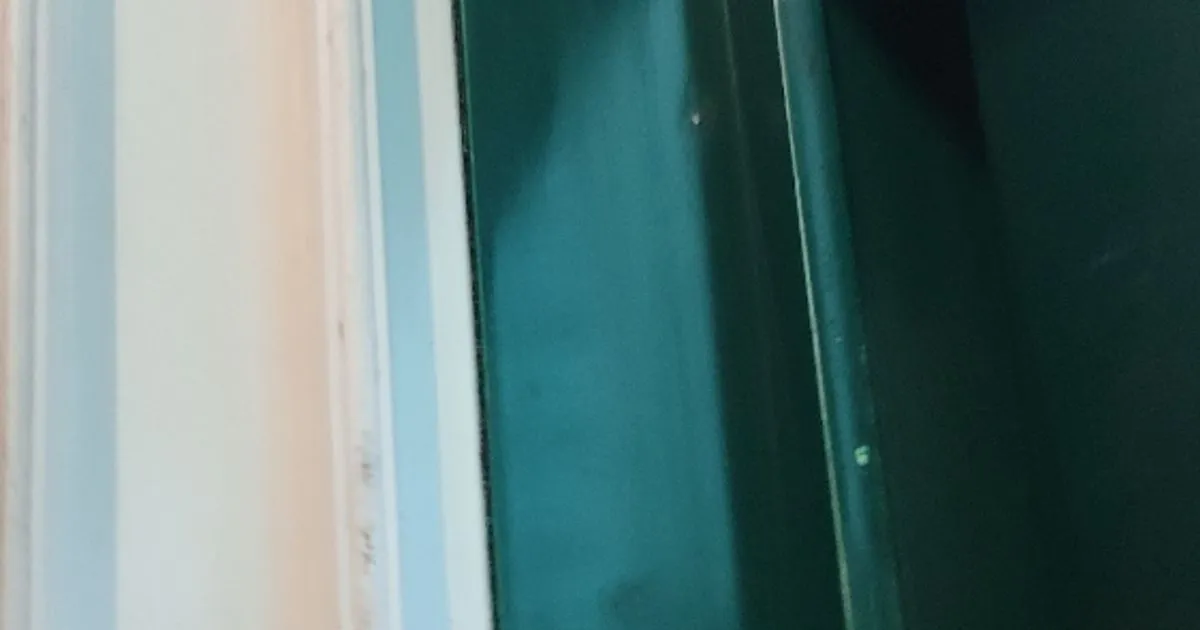 시간약속도 잘 지켜주시고 수시로 비포 에프터 다 사진찍어 보내주셔서 너무나 안심되엇어요 입주청소 사실 맘에든적이 없엇반신반의로