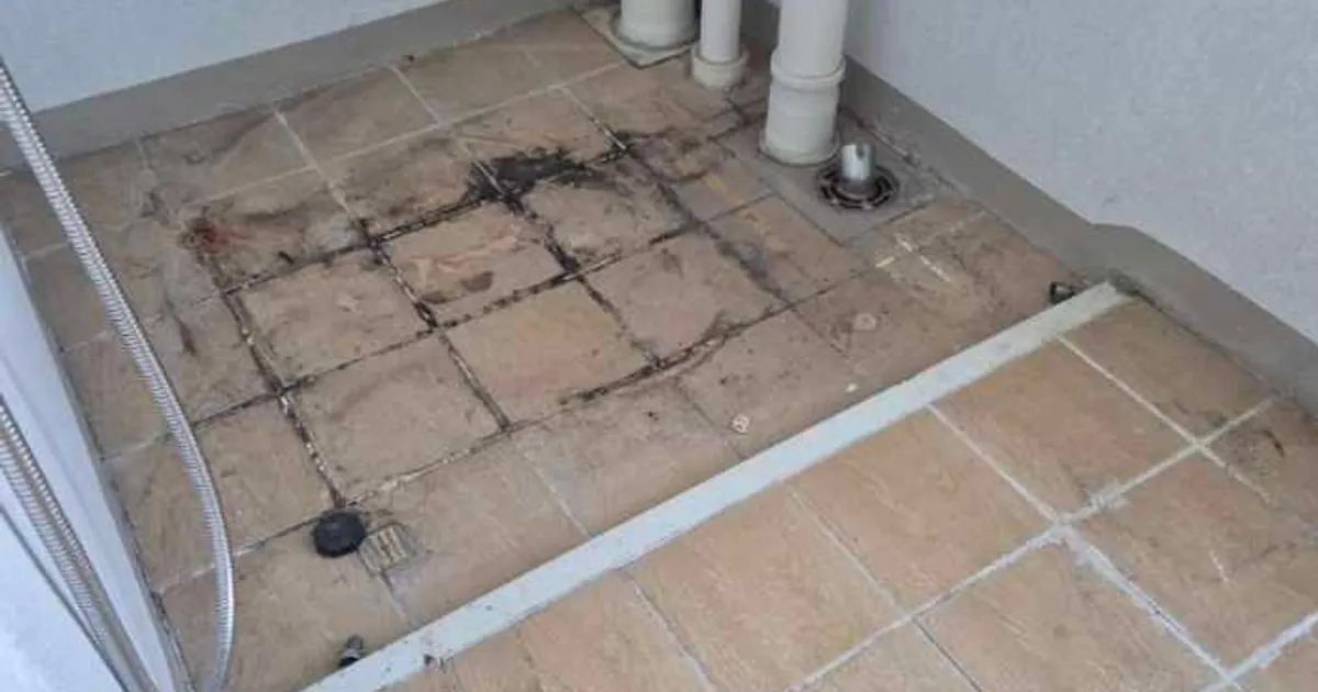 청소 시작하기 전에 상태 사진 찍어서 공유해주시고 청소진행하시는 중간중간에도 끝난 후에도 완료된 사진 꼼꼼하게 보내주십니다 그리고 중간에 문제가 있거나 교체가 필요한