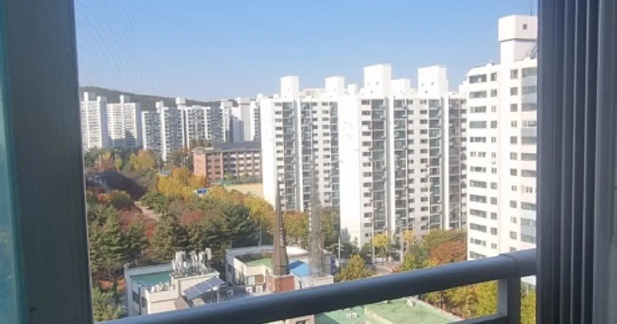 상담 친절히 해주시고 관리방법 등도 자세히 설명해주셨습니다 감사합니다~ 숨고 숨은고수