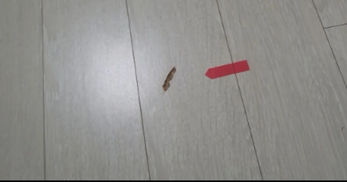 작업속도도 빠르시고 작업결과도 감쪽같이 나왔습니다 번창하세요 숨고 숨은고수