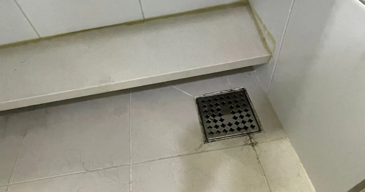 전 세입자가 너무 더럽게 쓰고가서 들어가자마자 헉 했는데 4시간 넘게 잘 청소해주셔서 감사했습니다 힘드실텐데도 친절하게 응대해주셨고 특히 화장실 청결을 제일 중요하게