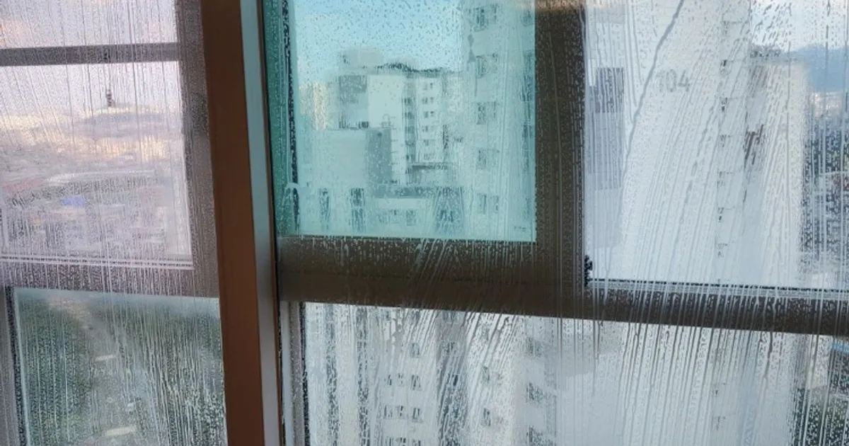 짐을 뺀 자리는 더러웠으나 깔끔하게 잘 해주셨습니다 제가 궁금한 부분은 잘 답변 해주셨고요 덕분에 이사 잘 했어요
