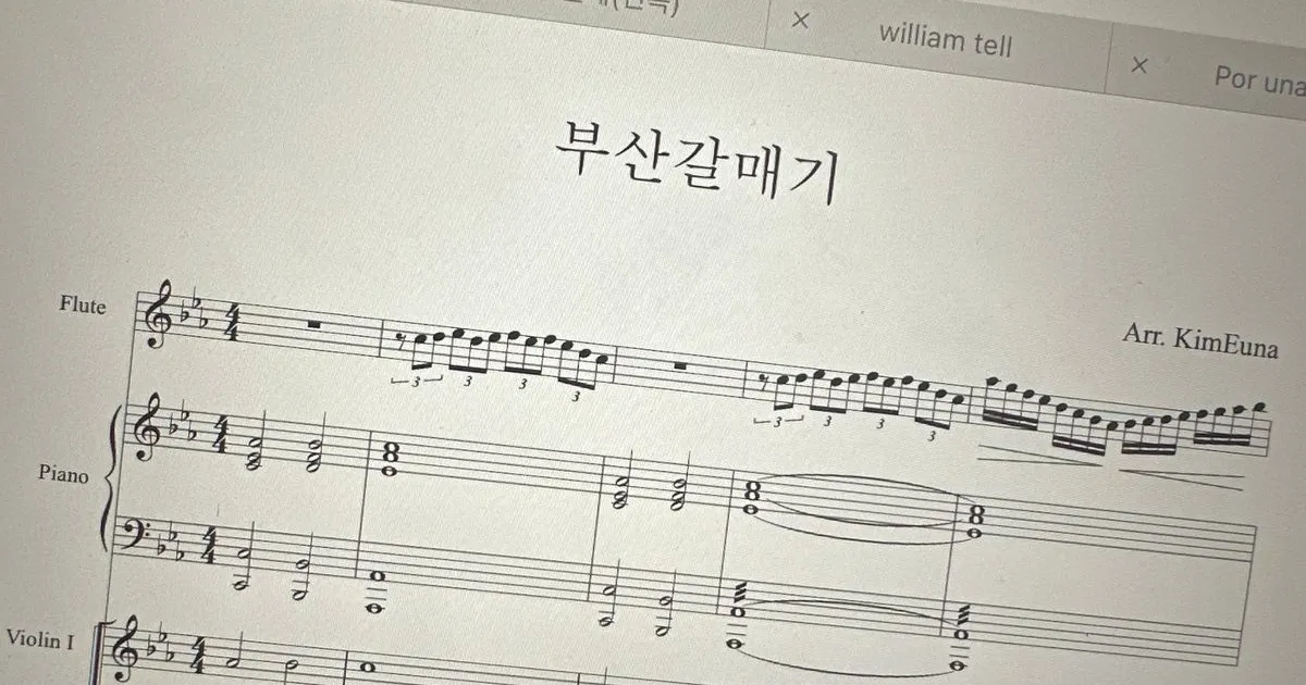 작업된 곡을 바로 연습을 하고 싶을 정도로 잘 표현해주셔서 너무 좋았습니다 숨고 숨은고수