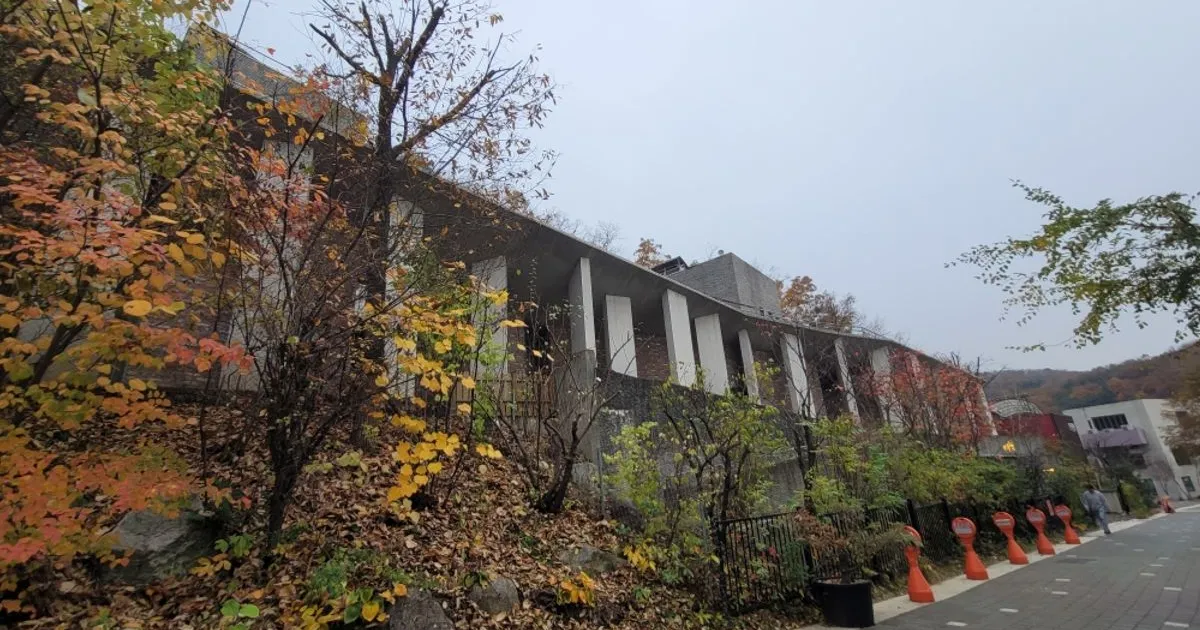 우선 정말 친절하고 실력이 좋으십니다 원하는 조건이 까다롭고 애매했는데도 정확하게 원하는 디자인과 조경 방향을 캐치해서 작업을 해주셨습니다 작업 스타일도 긍정적이고