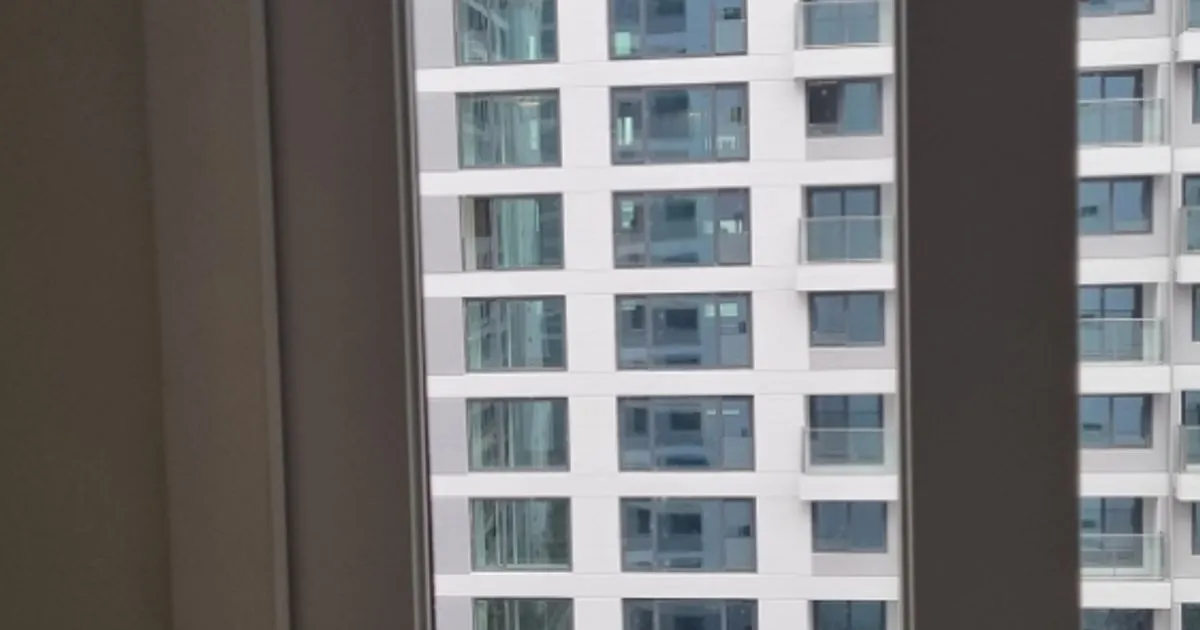 사전 점검에 정말 큰 도움이 되었습니다 우리끼리 점검했다면 몰랐을 것을 잘 탖아 주시고 친절한 설명까지 해 주셔서 완전