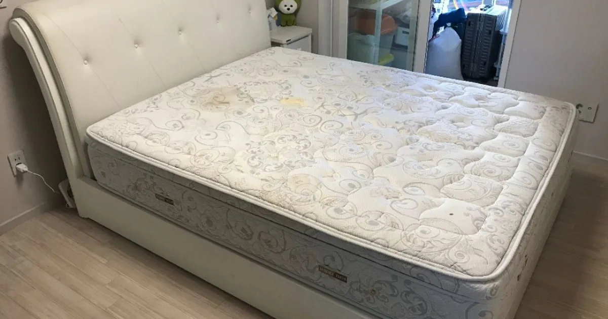 침대관리를 한번도 안해서 얼룩도 오래되고 힘드셨을텐데 마지막까지 꼼꼼히 마무리해주셨습니다 감사합니다 숨고 숨은고수