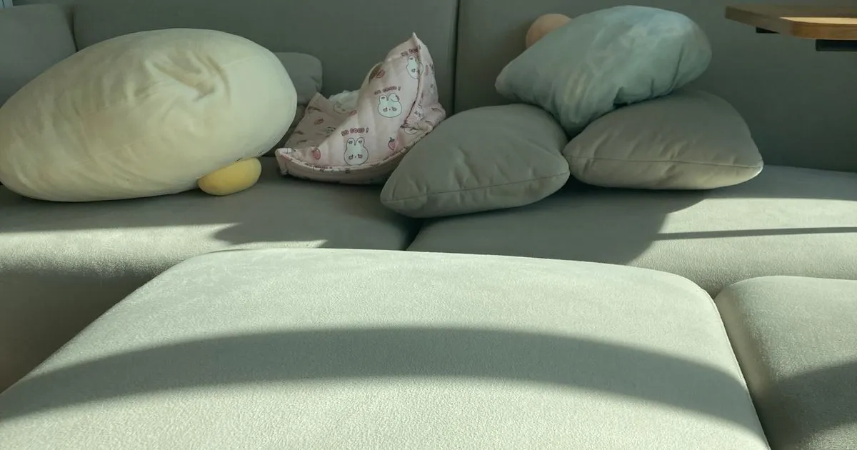 급하게 잡은 일정인데 일정맞춰주시고 꼼꼼하게 청소해주셔서 감사했습니다 숨고 숨은고수