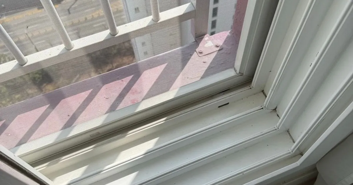 창문과 창틀 베란다쪽에 곰팡이가 많았는데 꼼꼼히 잘제거해주셨고 전반적으로 만족할만한 수준으로 깔끔하게 청소해주시네요 매너도 좋으시고 추가비용 발생관련해서도 합리적으로