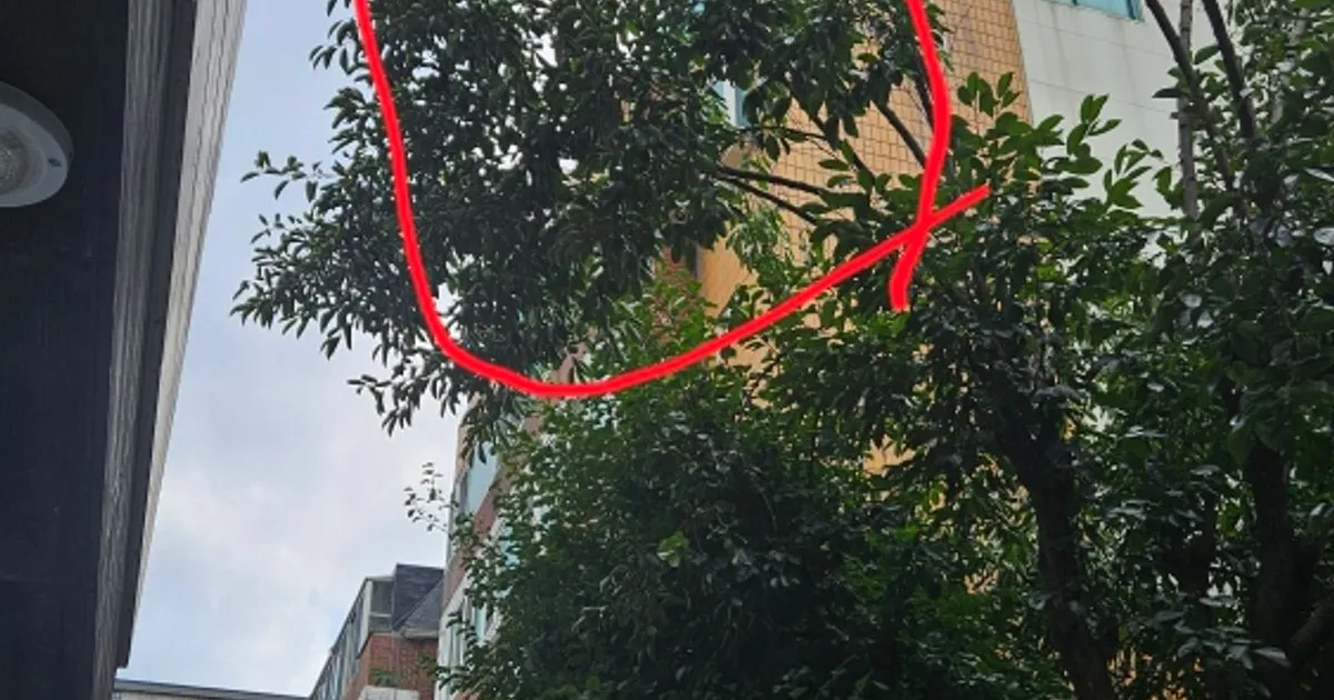 이분은 정말 찐입니다 친절은 기본이고 적절한 금액에 너무 너무 만족합니다 도저히 리뷰를 안쓸수가 없네요 덕분에 잘
