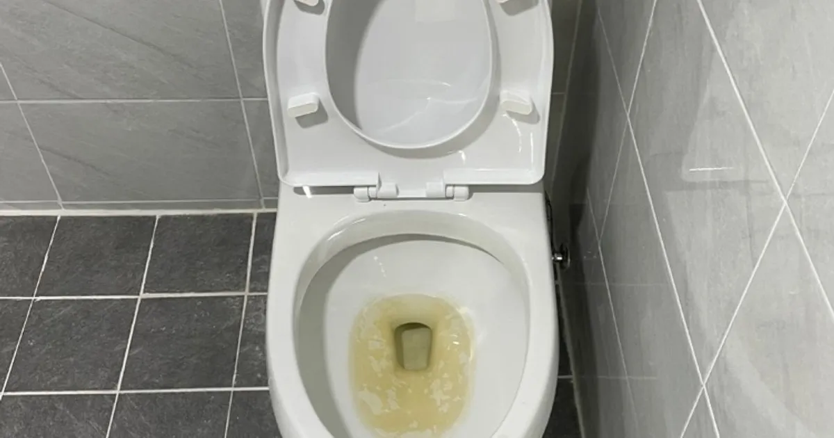 급하게 당일 예약했는데도 빠르게 시간약속을 정확하게오셨고 꼼꼼하고 깔끔하게 청소완료 부분을 세심하게 설명 잘해주셔 너무 만족했습니다 숨고 숨은고수