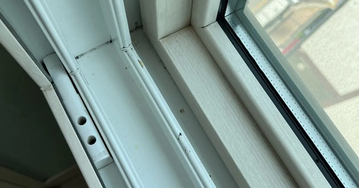 구석구석 깨끗하게 잘 해주시고 요청사항도 잘 들어주셨습니다 숨고 숨은고수
