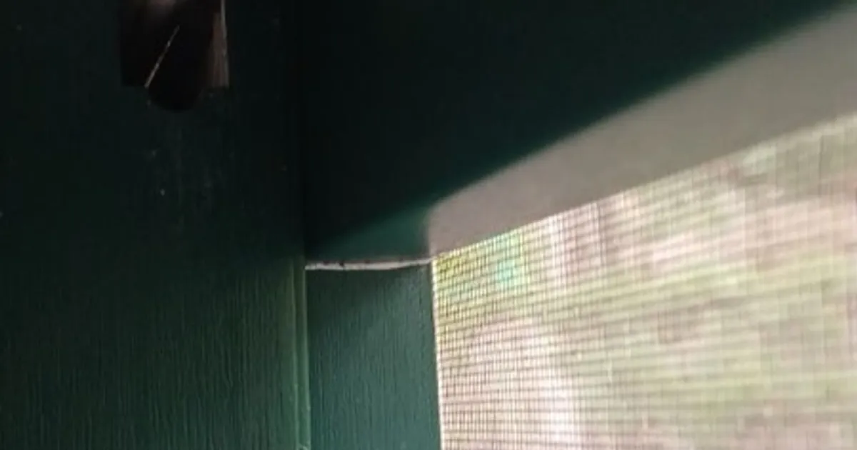 새벽에도 빠르게 상담해주시고 당일에 바로 예약돼서 좋았어요 유입로 차단이랑 소독 등 정말 꼼꼼하게 봐주시고 친절하셔서 만족스러웠습니다 숨고 숨은고수