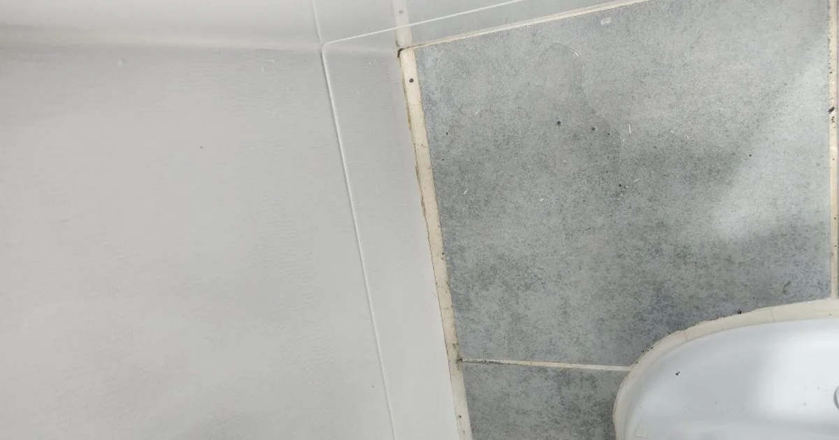 원하는 시간대로 맞춰서 진행해주시고 꼼꼼하게 봐주셨습니다 진행시 생각보다 오염심한 부분은 추가적으로 더 집중적으로 봐주시고